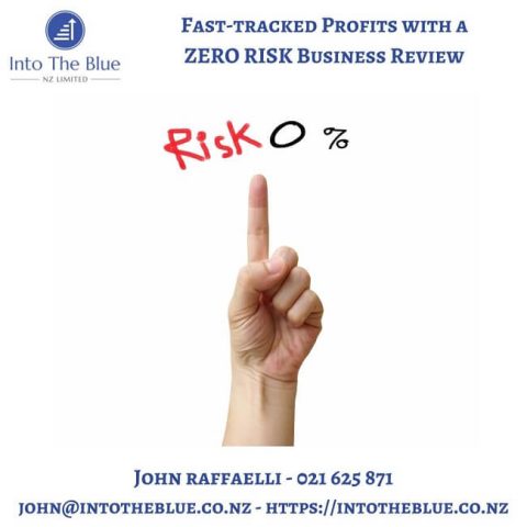 Zero Risk Business Reviews - Into the Blue